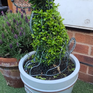 Handmade Topiary Chicken / Hen Frame for Plants Perfect for the Budding ...