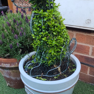 Handmade Topiary Chicken / Hen Frame for Plants Perfect for the Budding ...