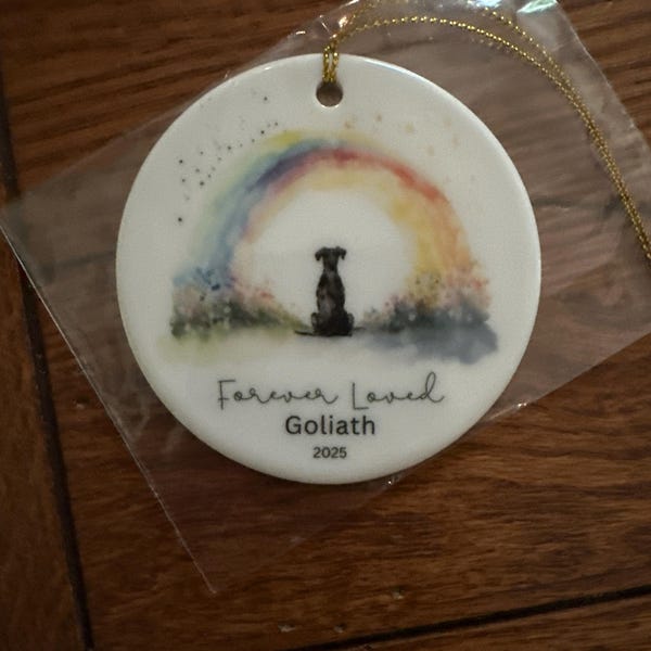 Watercolor Custom Pet Rainbow Bridge Wall Art Dog Memorial Art Dog Mom ...