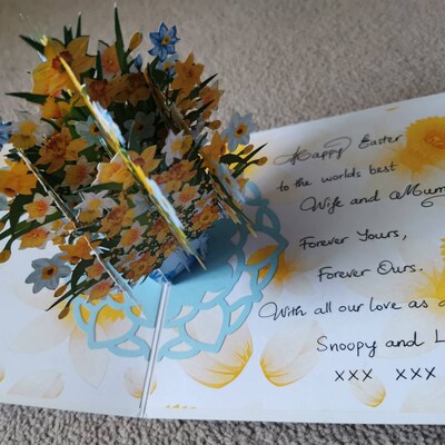 Robin Pop up Card 3D Robin Card Bird Watching Pop up Card - Etsy