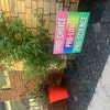 Pro-choice/pro-love/pro-science - Women's Rights / Pro Choice - Double ...