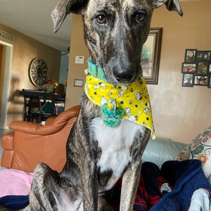 Autism Spectrum Awareness Puzzle Piece Tie On Dog Bandana | Etsy