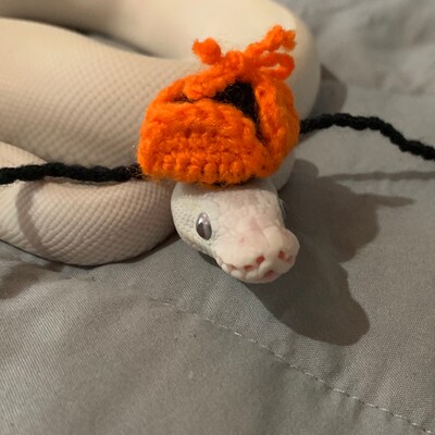 Tiny Reptile Hat Hat for Hamster Small Lizard Hat Clothes - Etsy