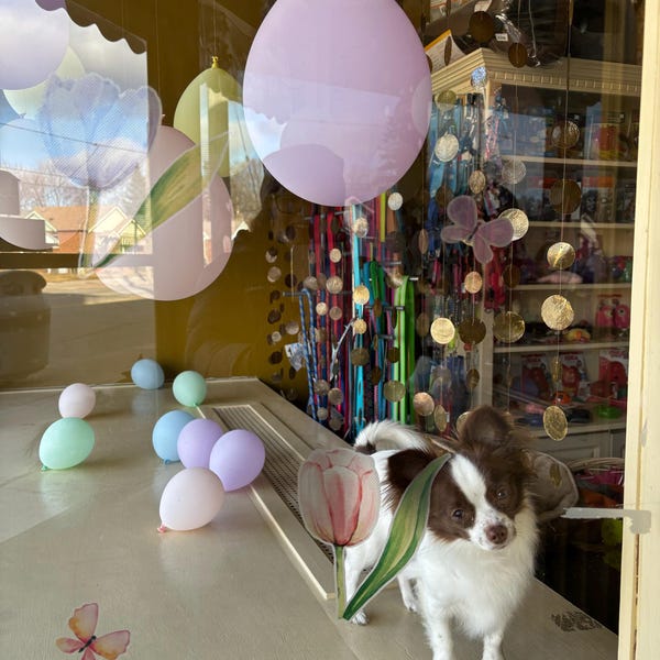 Summer Beach Balloon Garland, Beach Club Party Balloons, Surf Beach ...