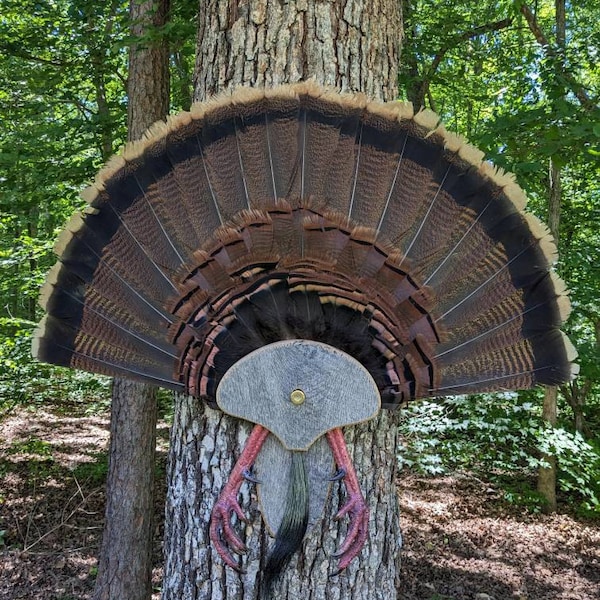 Rough Sawn Oak Multi Beard Turkey Fan Plaque - Etsy