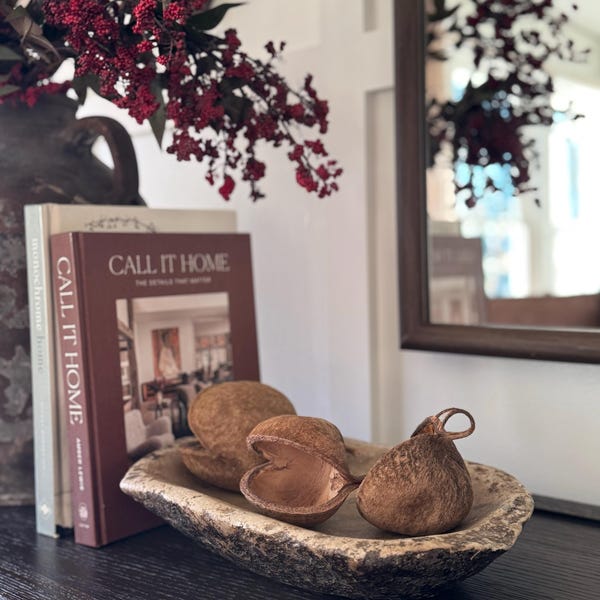 Tibia Spindle Sea Shells White Tibia Shell Long Pointy Shells Shabby ...