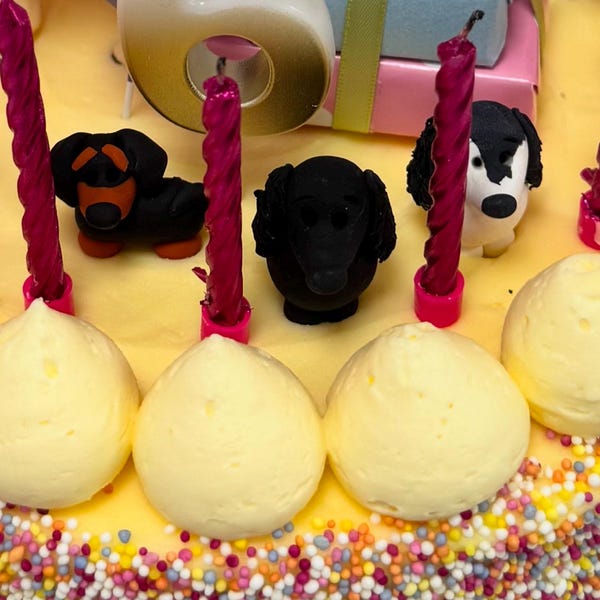 Police Officer Policeman Policewoman Collectable Clay Figure - Etsy UK