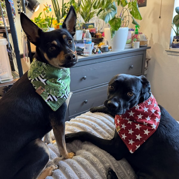 Dog Bandana Hot Dog Bandana Barbecue Dog Grill Master Gift Memorial Day ...