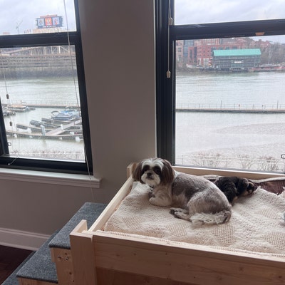 Unfinished Pet Ramp With Slats for Traction Wood Dog Ramp Pet Furniture ...