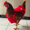 Chicken Sweater Crochet Pattern - Etsy