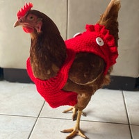 Chicken Sweater Crochet Pattern - Etsy Canada