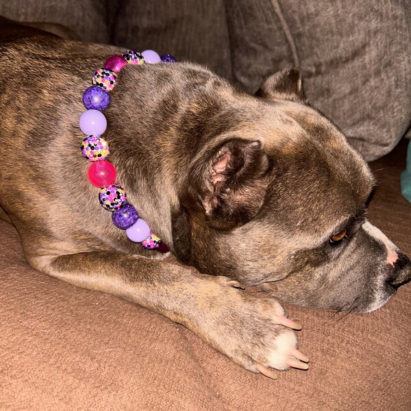 Good and Plenty Bead Dog Collar, Valentine, Necklace for Dog, Beaded ...