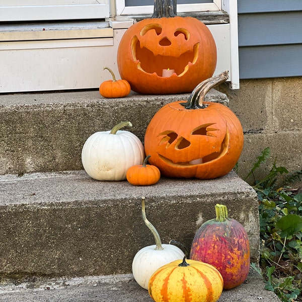 20 Printable Jack-o-lantern Pumpkin Carving Patterns for Halloween ...