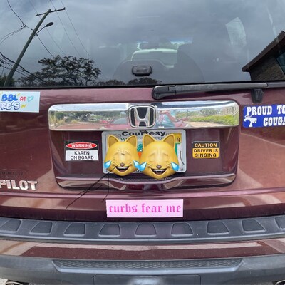 The Audacity Black Car Sun Shades, Funny Tarot Car Decor, Car ...