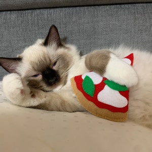 Caramel Apple Cat Toy - Etsy