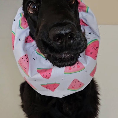 Cotton Snoods Snoods for Long-eared Dogs Ear Protector Dog Snood Dog ...