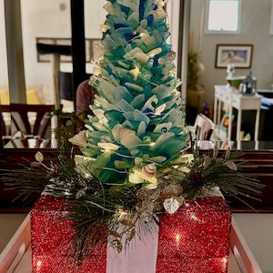 1 to 100 Astrea Calcar Turban Spurred Shells Natural Cream Silver Pearl ...