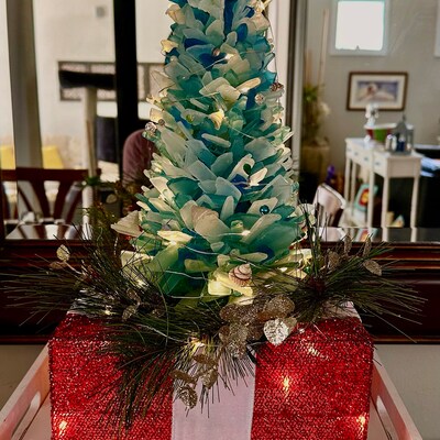 Real Jungle Mud Starfish Orange Brown Amber Color 1 to 3 Pcs 2 to 4 1/2 ...