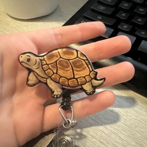 Red Panda Magnet: Gift for Red Panda Lovers Chinese Animal - Etsy