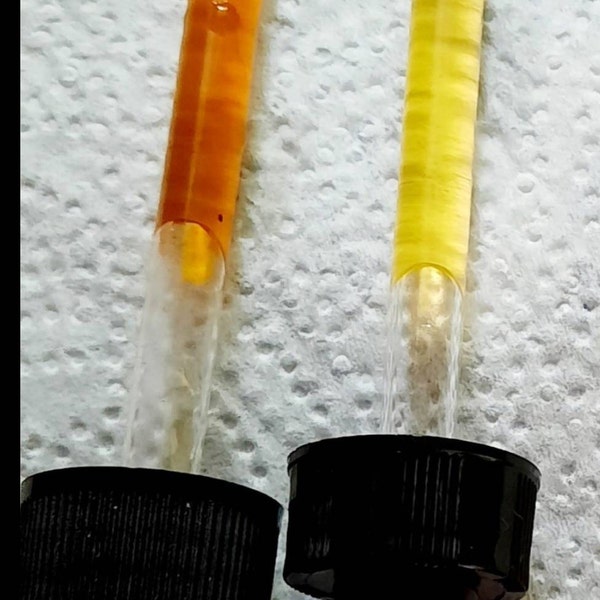 Wildcrafted Periwinkle Tincture - Etsy