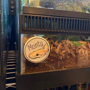 Enclosure Name Plate Ceramic White's / Dumpy Tree Frog - Etsy