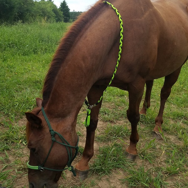 Neck Rope, Bridle Less Riding Rein, Balance Rein, Liberty Neck Rope ...