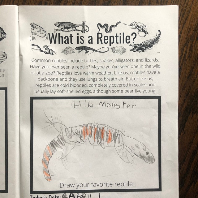 GrowingHomeByNicole - Etsy