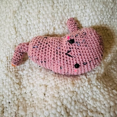 Anatomical Stomach Crochet Pattern PATTERN ONLY Instant - Etsy