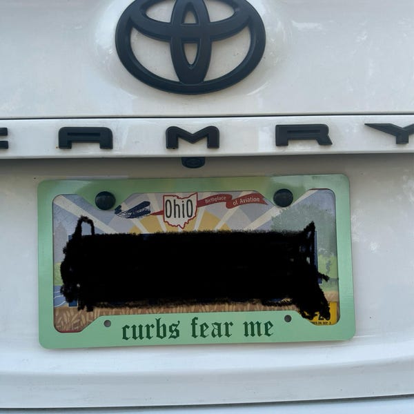 Curbs Fear Me License Plate Frame, Pink Funny Y2k Vehicle Accessories ...