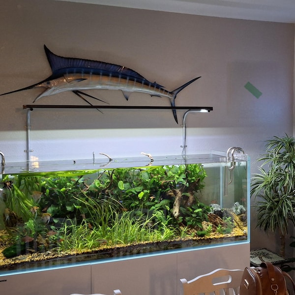 50” Barracuda Half Sided Fish Mount - Etsy