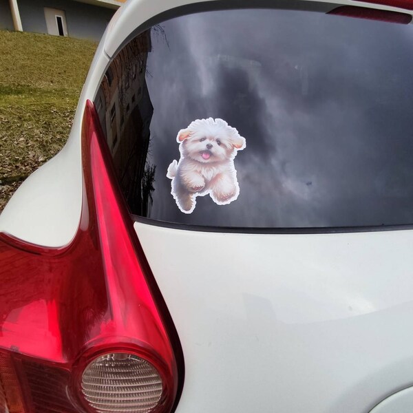 Watercolor Adorable Funny Dogs Car Sticker Dog Stickers - Etsy