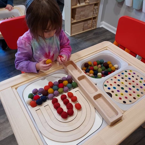 Life Cycle Tray, Wood Life Cycle Board, Metamorphosis Tray, Wooden Life ...