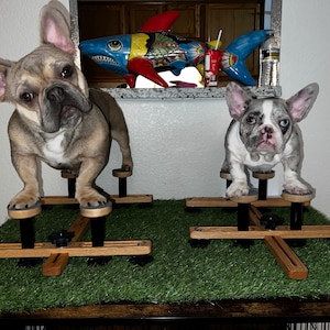 Airflow Dually Dog Crate Fans Compatible With Ruff Land / Ruff Tough ...