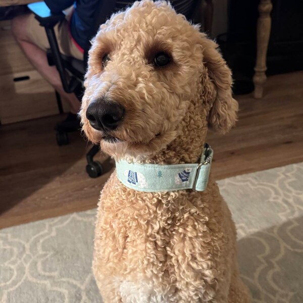 Pink & Purple Patchwork Dog Collar, Unique One of a Kind 1 Inch, 1.5 ...