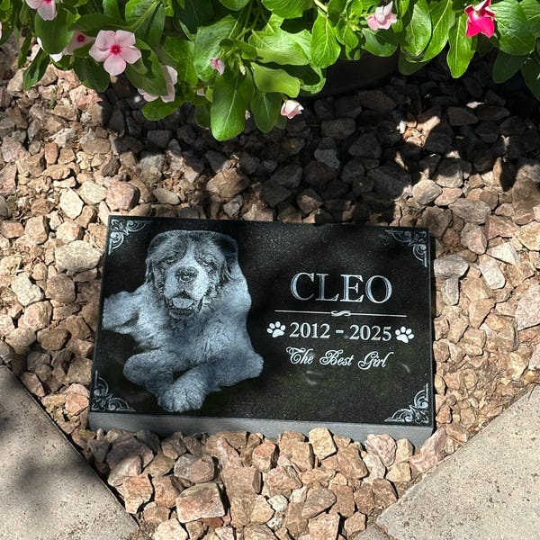 Custom Fish Memorial Stone: Goldfish Betta Koi Guppy | Loss of Pet Fish ...