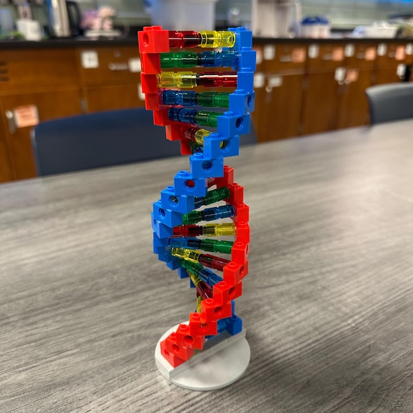 Pure Geek Deoxyribonucleic Acid DNA Building Block Model - Etsy