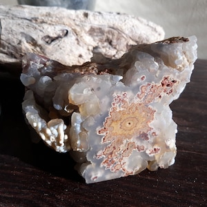 Dinosaur Gizzard Stone - Etsy