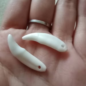 5 Real Bone Water Buffalo Teeth Taxidermy Genuine Tooth Bones Pendant ...