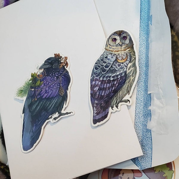 Vinyl Bird Stickers - 7 Designs to Choose From - Hawk Falcon Owl Raven ...