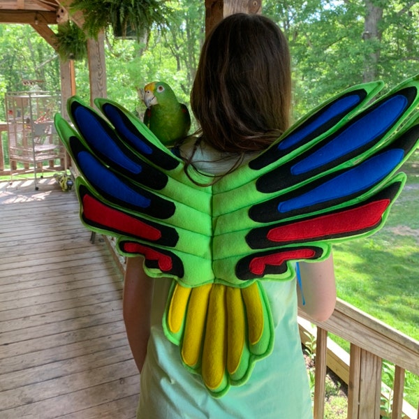 CUSTOM BIRD WINGS. You Choose Color, Design Style. - Etsy