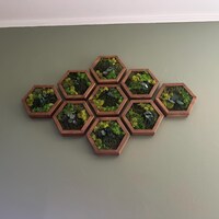 Hexagon Moss Wall Art Moss Wall Decor Preserved Moss Art Framed Moss ...
