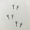 Bird Tracks Rubber Stamp - Etsy
