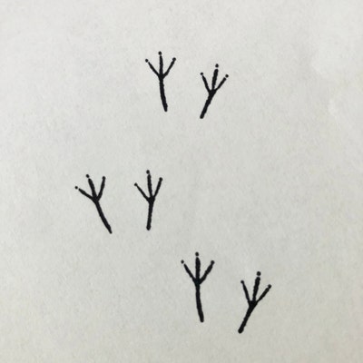 Bird Tracks Rubber Stamp - Etsy