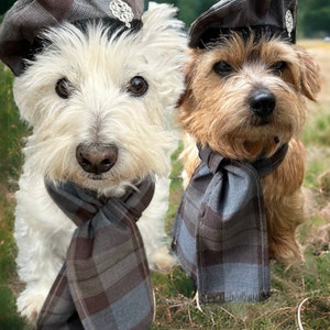 William Wallace Dog Kilt, Medieval Kilt, Ancient Dog Kilt, Tartan Kilt ...