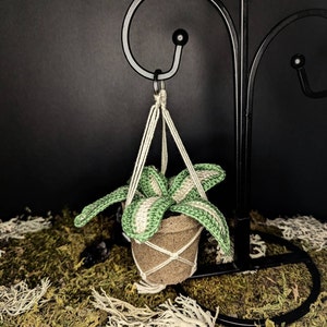 Spider Plant Crochet Pattern Amigurumi Houseplant - Etsy
