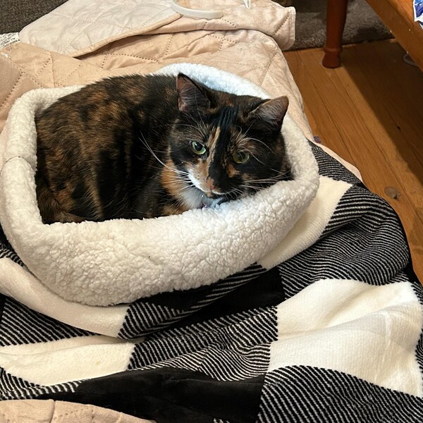 Snuggle Bed, Cat Sleep Sack, Sleeping Bag, Pet Sleeping Bag, Pet ...