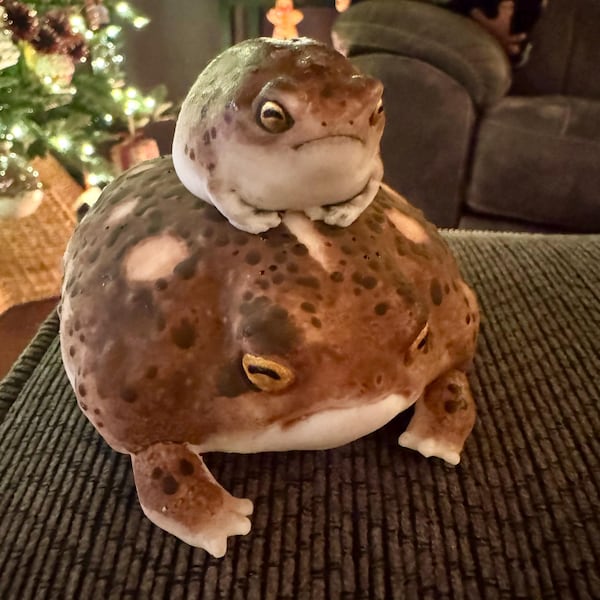 SQUISHY Desert Rain Frog. Cute Butt Frog Fidget Weirdcore Desk Toy for ...