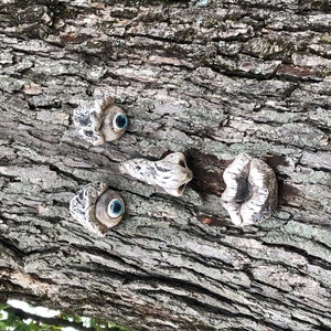 Mr. Grumpy Stump Tree Face Fun Birthday Gifts Made in - Etsy Canada