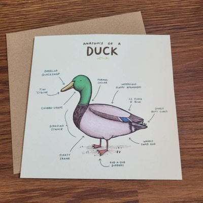 Anatomy of A Duck Card - Etsy