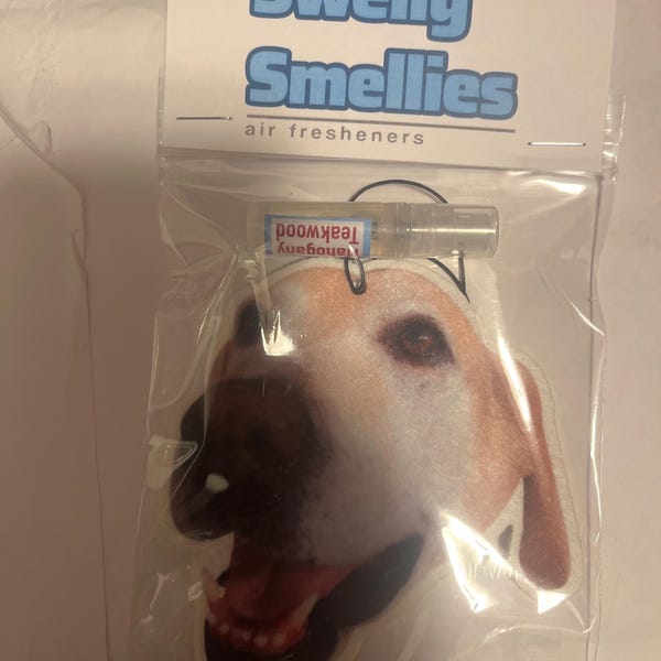 Funny Air Freshener - Flaming Eye Freshener - Cute Air Freshener - Cool ...